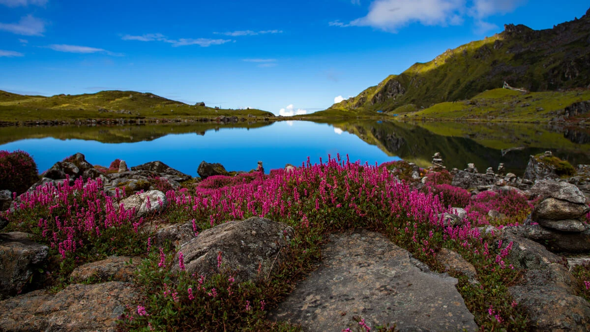 Sherpa Eco Adventure | Panch Pokhari Trek Package 2025/2026 Guide and Cost