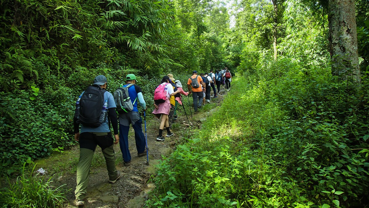 Sherpa Eco Adventure | Hiking in Nepal